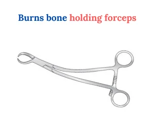Top 17 orthopedic bone holding forceps purchasing Update idea